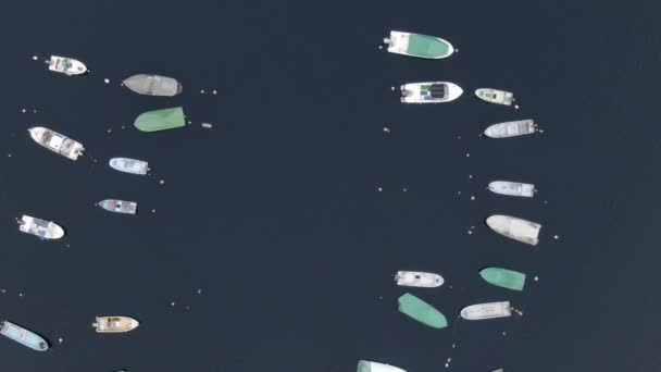 314 Tied together Videos, Royalty-free Stock Tied together Footage ...