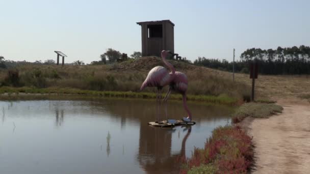 122 Bird observatory Videos, Royalty-free Stock Bird observatory ...