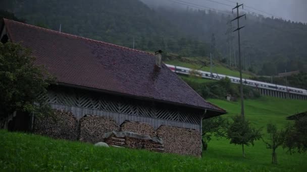 7,596 Tren rural Videos, Royalty-free Stock Tren rural Footage ...