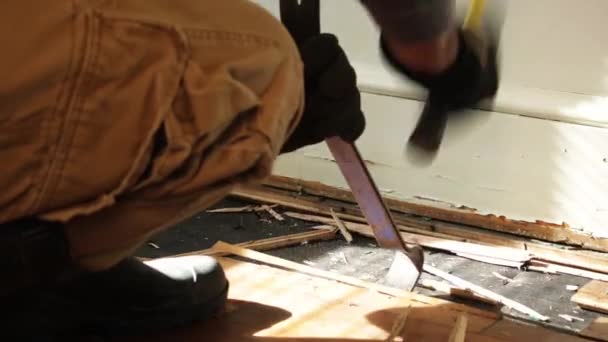 3,389 Piso porcelanato madeira Videos, Royalty-free Stock Piso ...