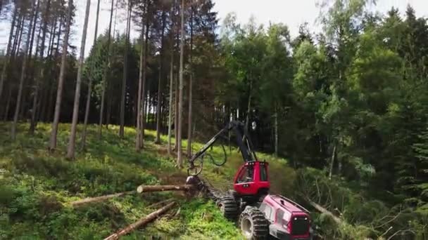 964 Forestry harvester Videos, Royalty-free Stock Forestry harvester ...