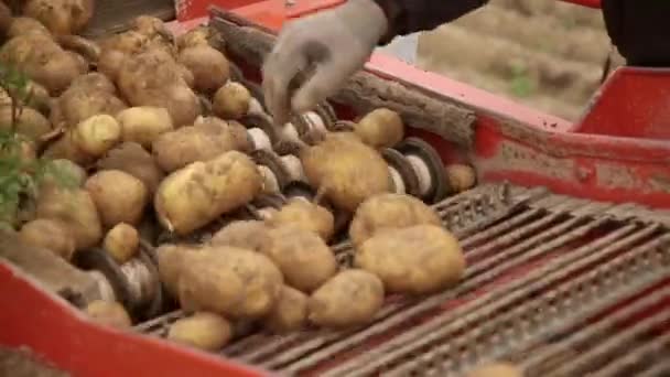 482 Potato harvester Videos, Royalty-free Stock Potato harvester ...