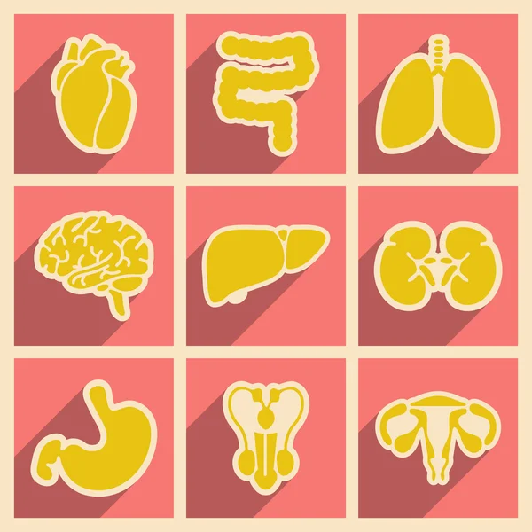 Silhouette Human Internal Organ Body Parts Stencil Icon Illustration ...