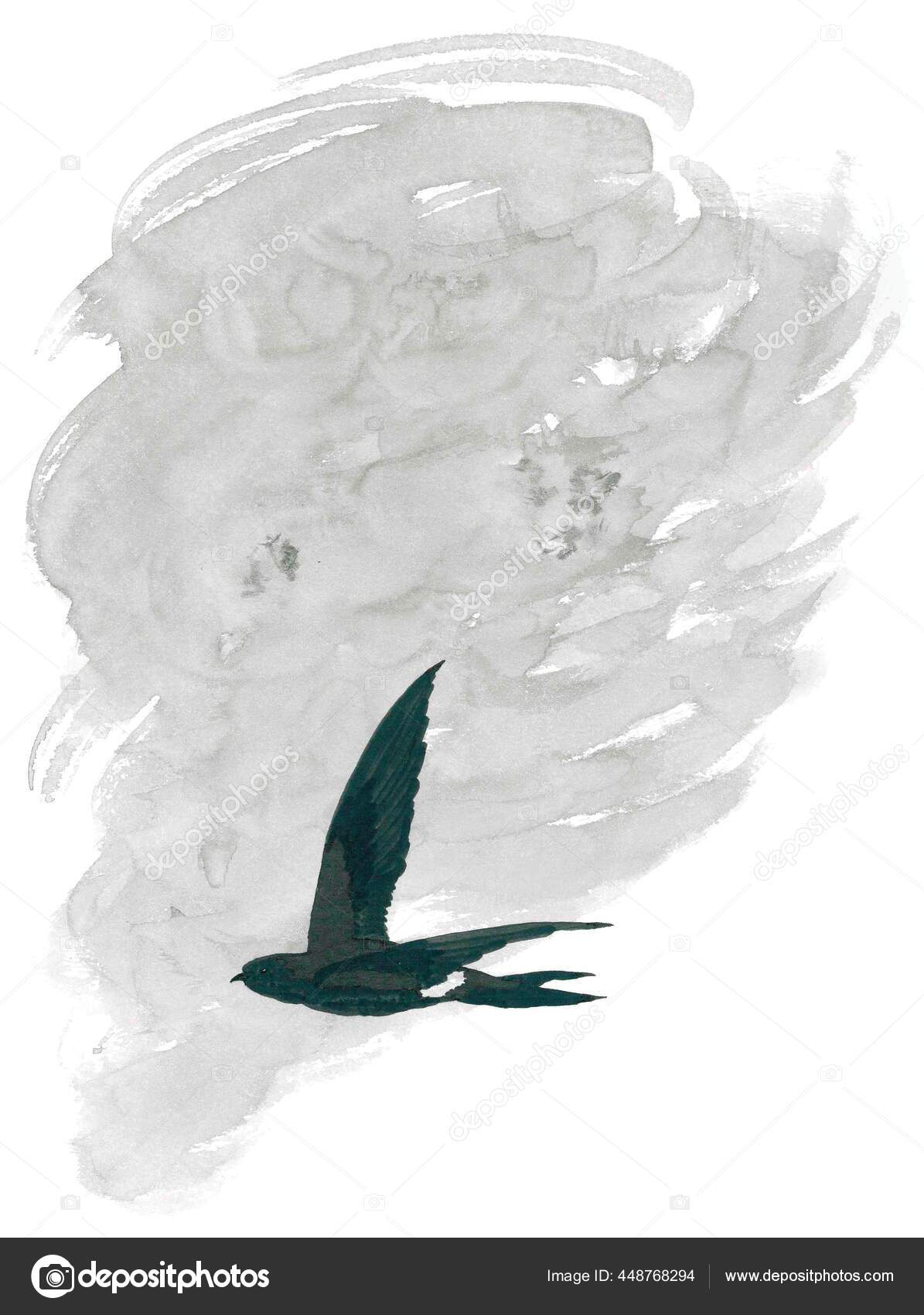 Swift Flight Symbolizes Freedom Expression Dedication Trendy Creative ...