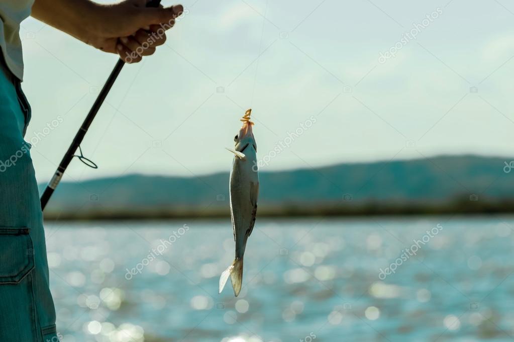 Peixe no anzol . — Foto © Tamascsere #73535975
