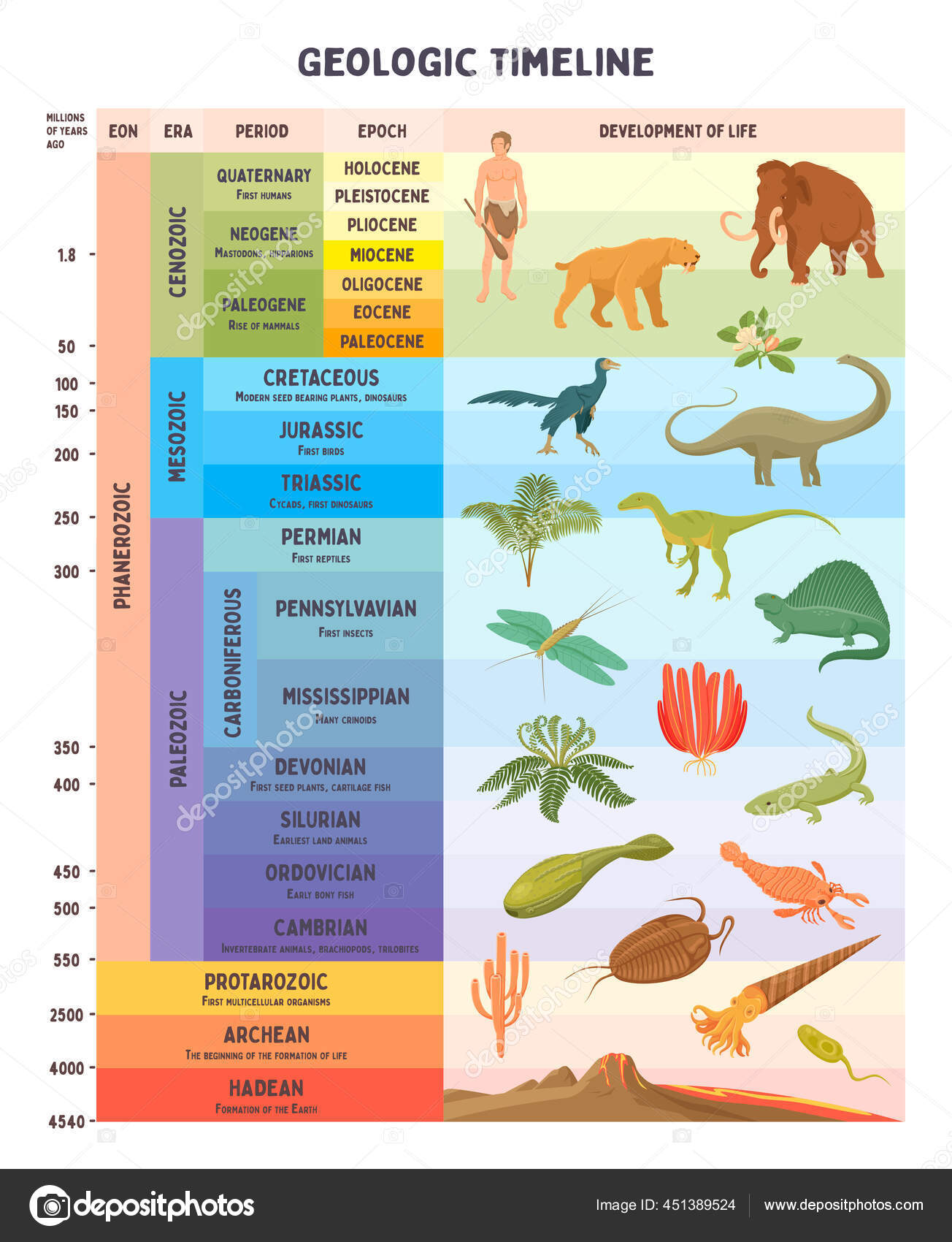 Evolution Of Animals Timeline