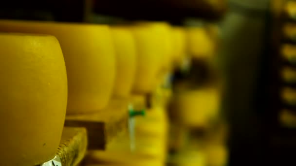 39 vídeos de The swiss cheese factory, metraje de The swiss cheese ...