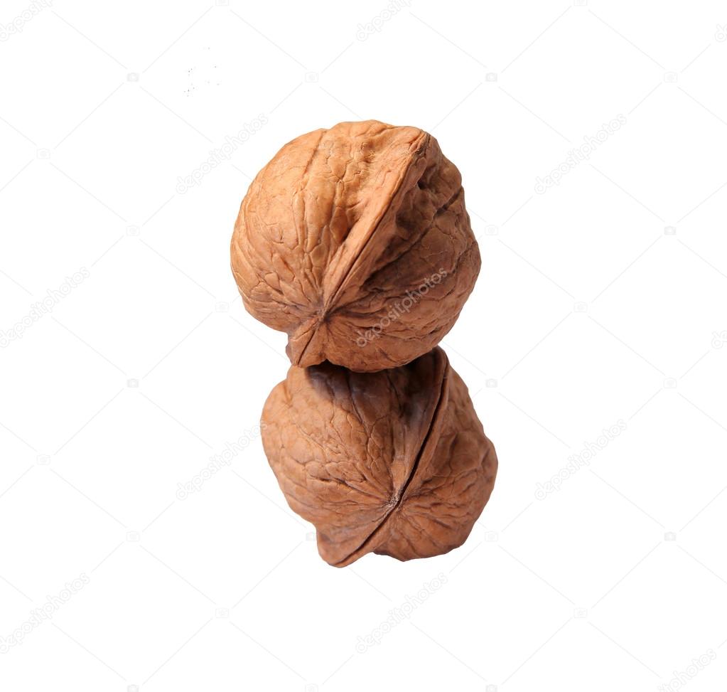 Two nuts — Stock Photo © Pchela80 #70004171