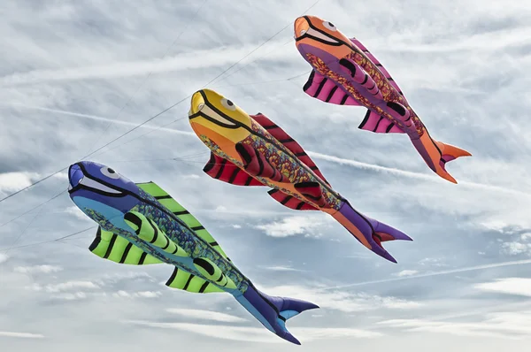 Carp windsock Stock Photos, Royalty Free Carp windsock Images ...