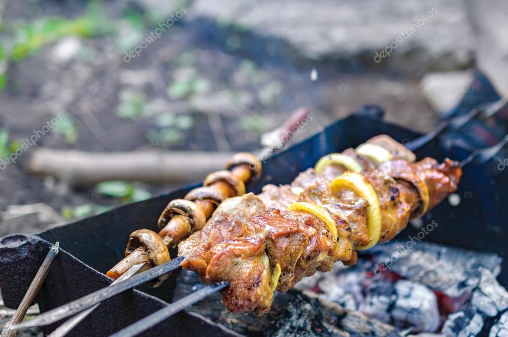 Roast kebabs on BBQ Grill — Stock Photo © sonatali #119701088