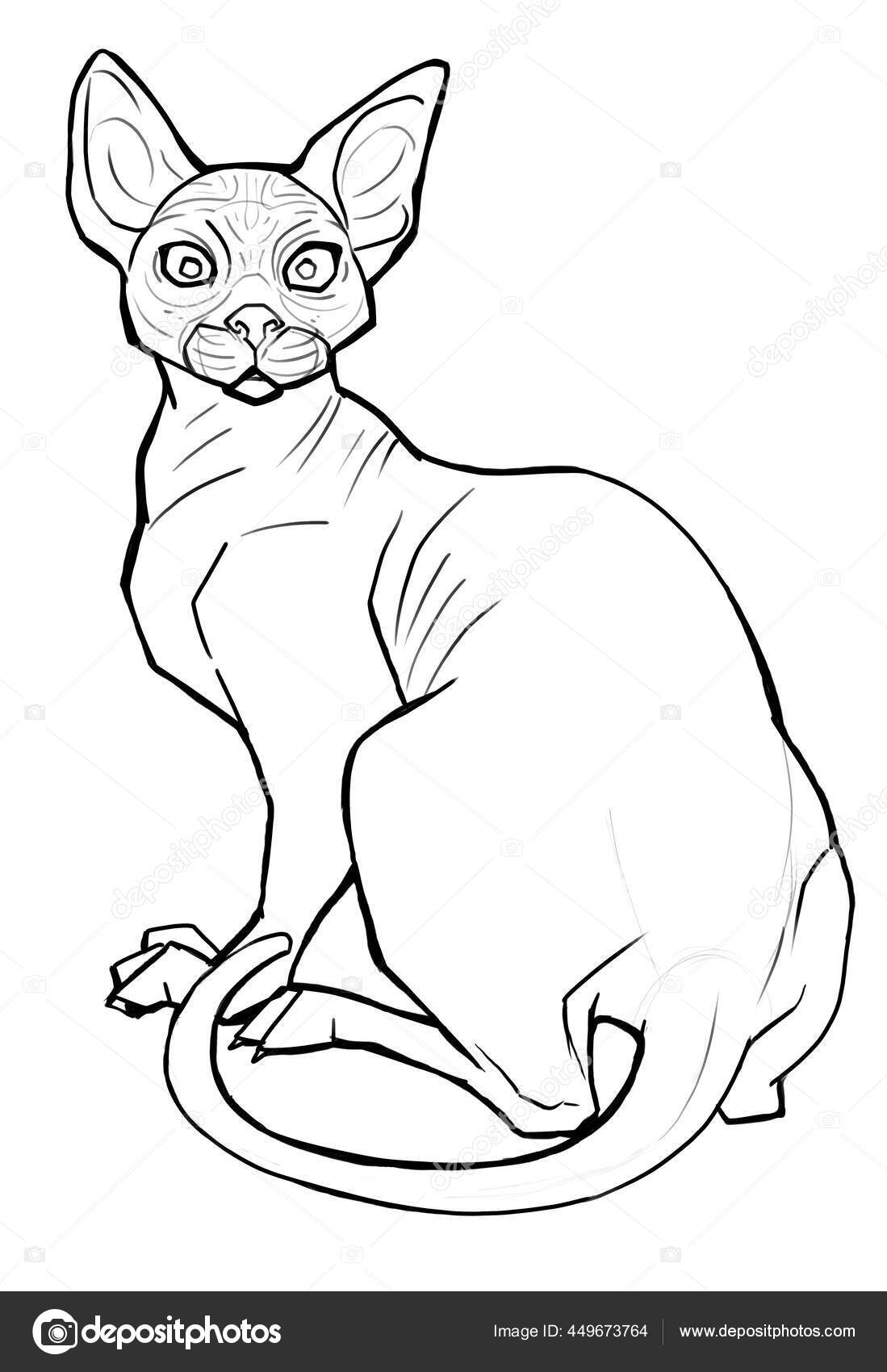 Illustration Funny Sphynx Cat Linear Drawing Sitting Angry Displeased ...