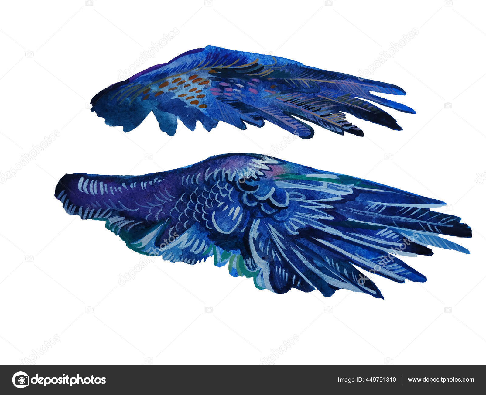 Birds At Different Angle