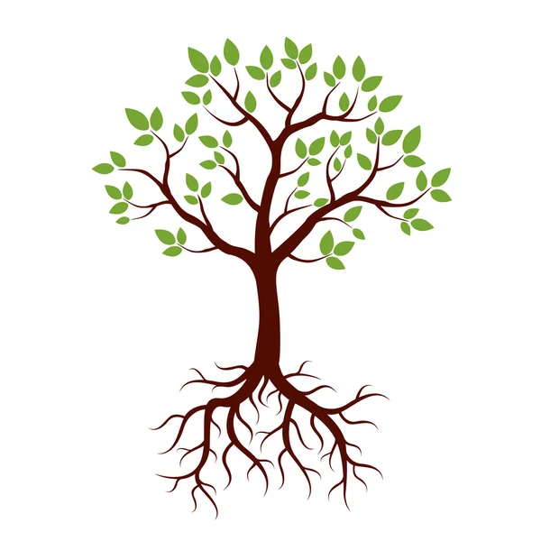 Tree Roots Vector Free