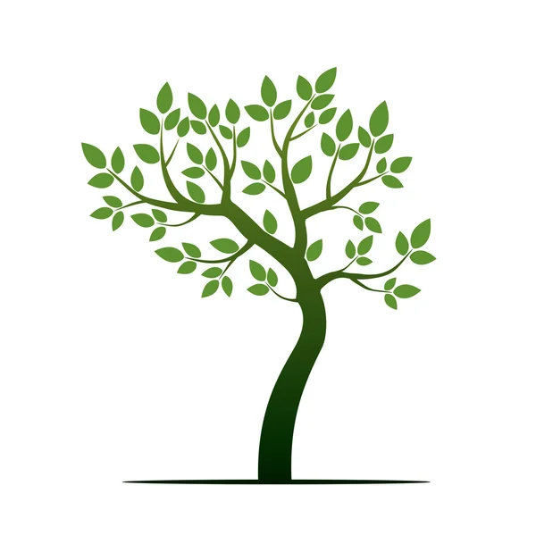 Green Vector Tree and Leafs. Vector Illustration. Stock Vector Image by ...