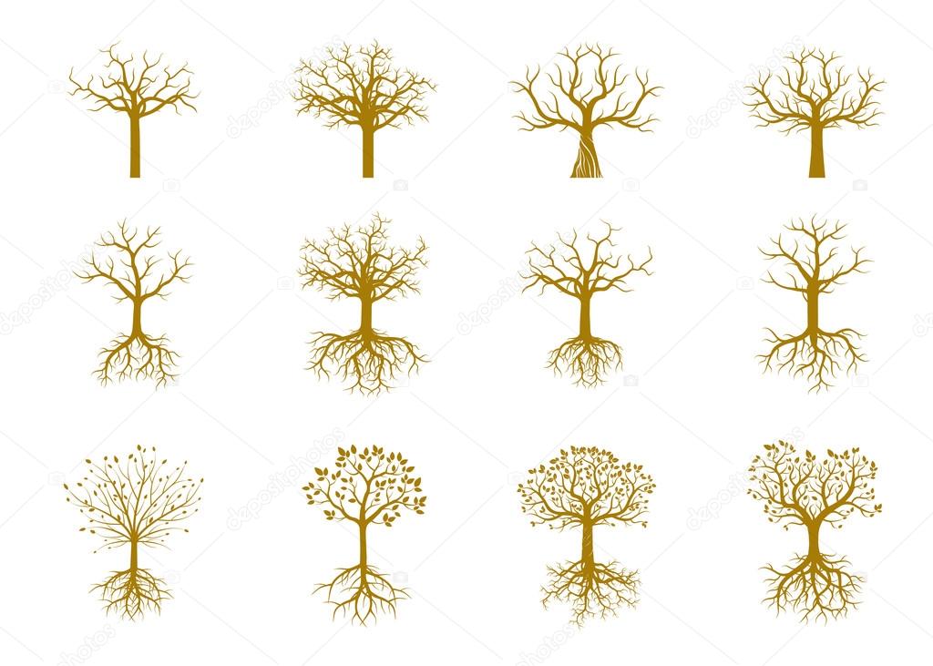 Set of Golden Trees and Roots. Vector Illustration. Stock Vector Image ...