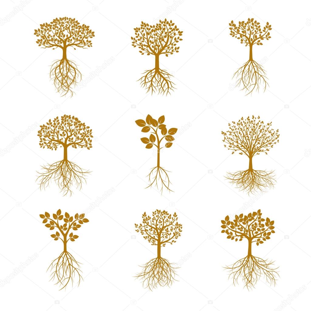 Set Golden Tree and Leafs. Vector Illustration. Stock Vector by ...