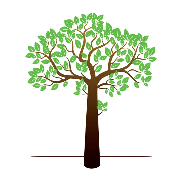 Fa rajz Stock fotók, Fa rajz Jogdíjmentes képek | Depositphotos