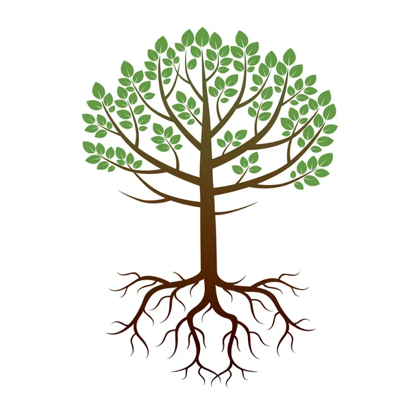 Color Tree and Roots. Vector Illustration. — Stock Vector © rolandtopor ...