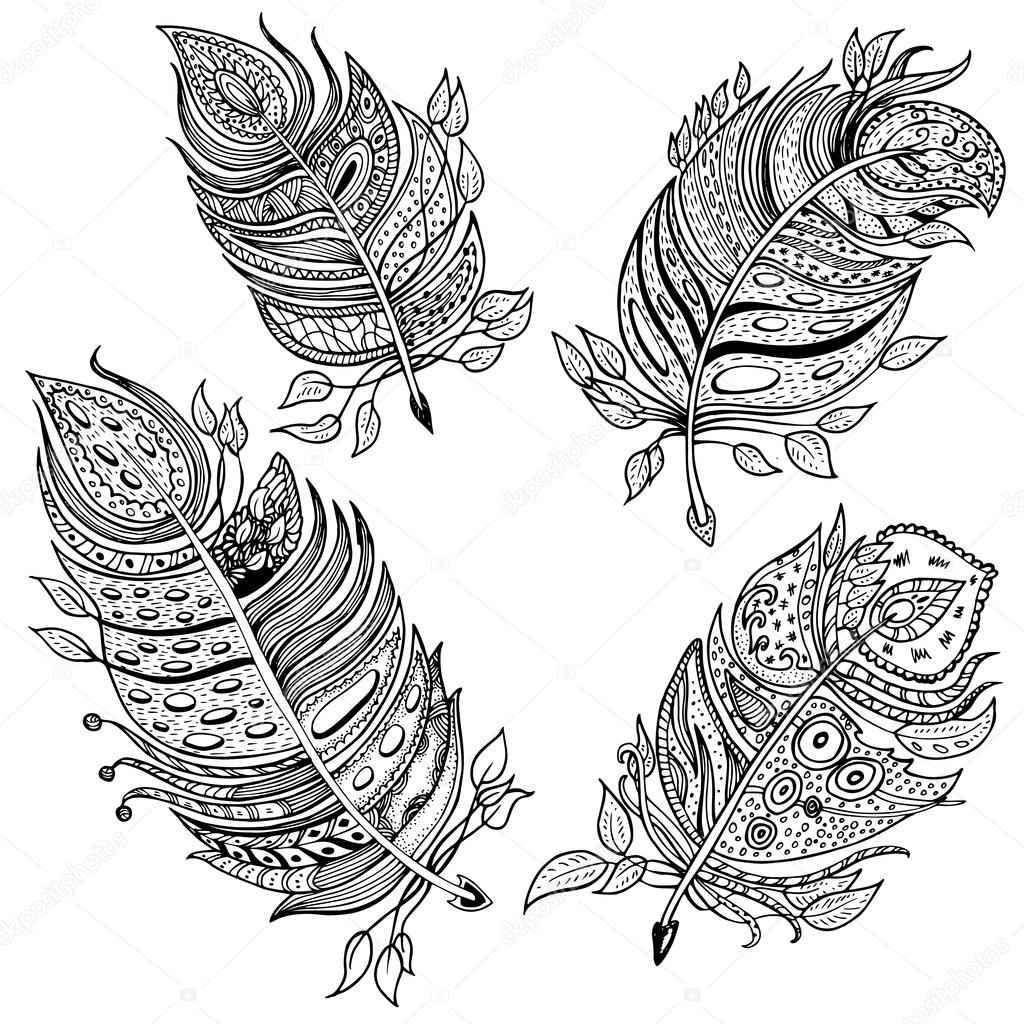 Hand drawn line art of feathers with ornaments Stock Vector Image by ...