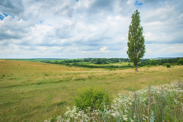 Podolia Stock Photos, Royalty Free Podolia Images | Depositphotos®