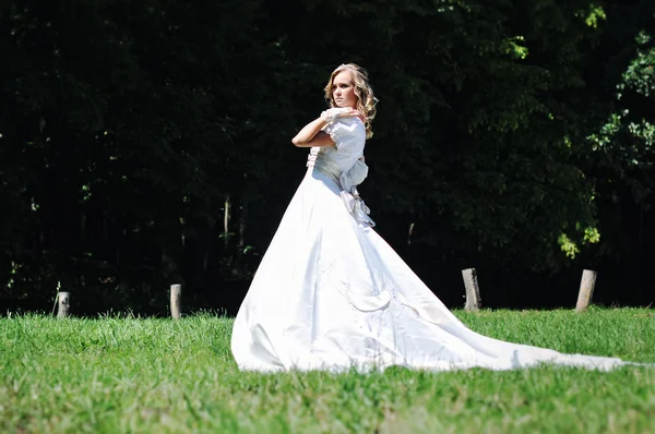 Bride de cavalier Stock Photos, Royalty Free Bride de cavalier Images ...