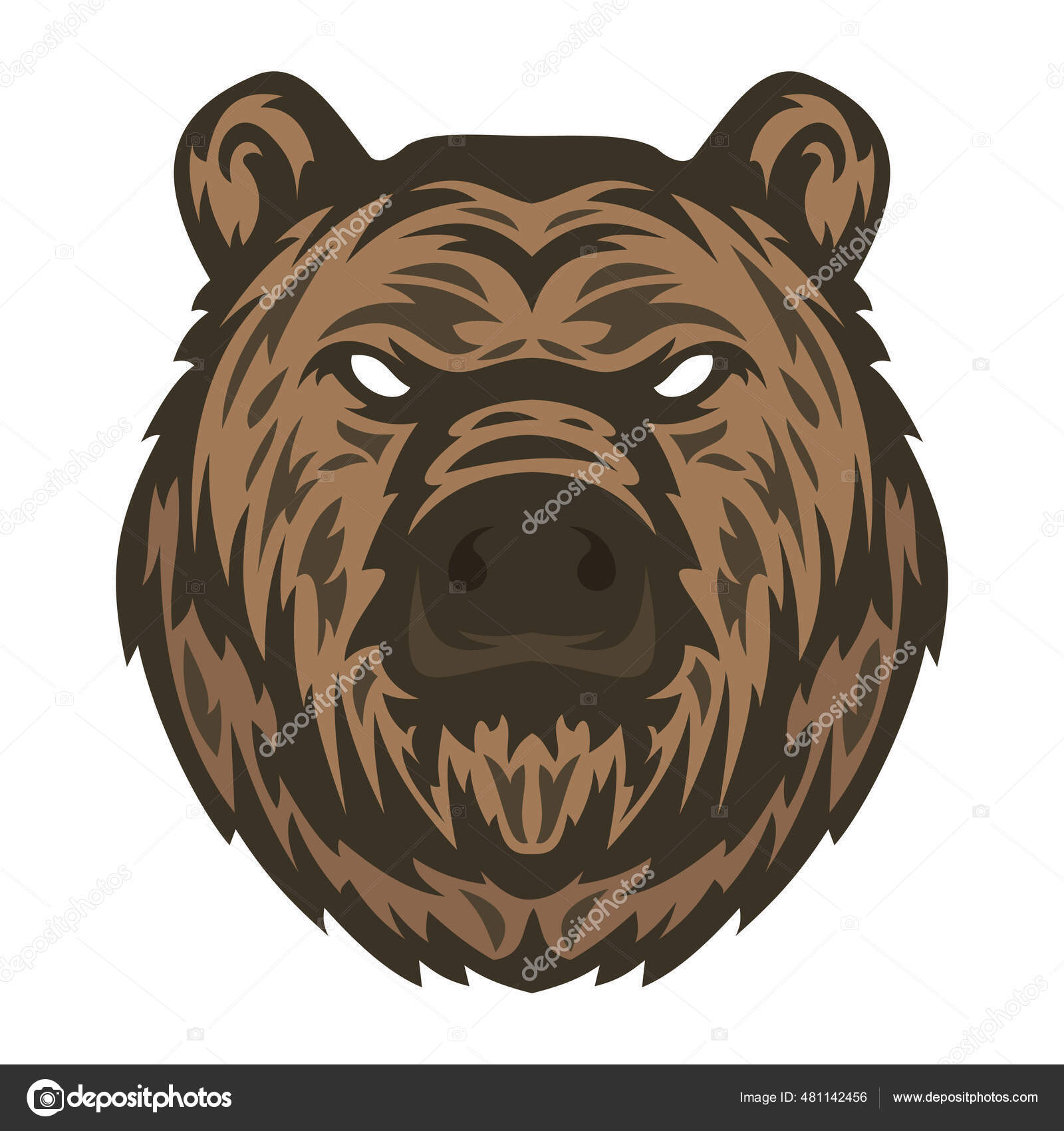 Cabeza Oso Dibujo Dibujado Mano Estilo Color Aislado Sobre Fondo Vector ...