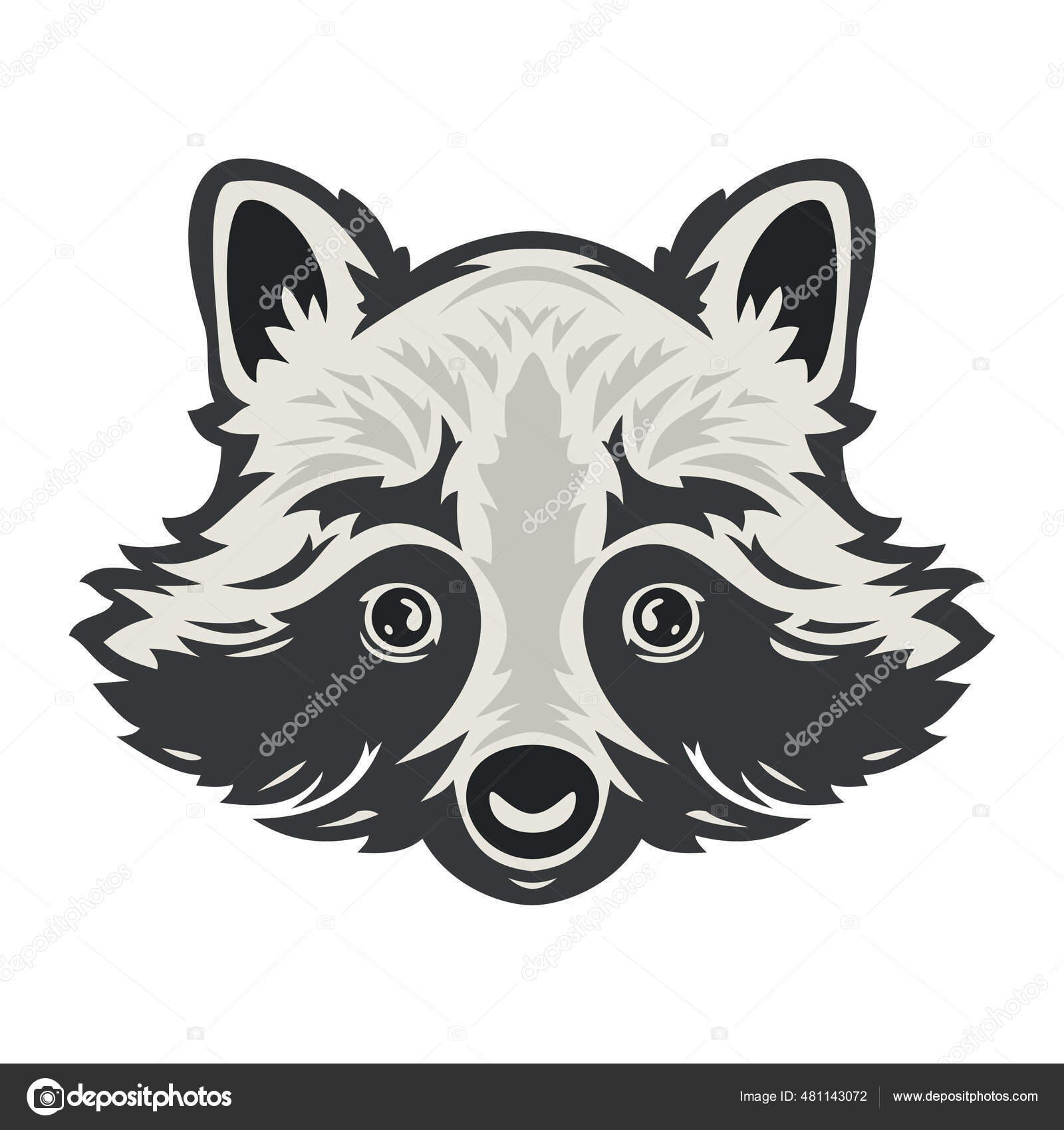 Raccoon Head Hand Drawn Sketch Color Style Isolated White Background ...