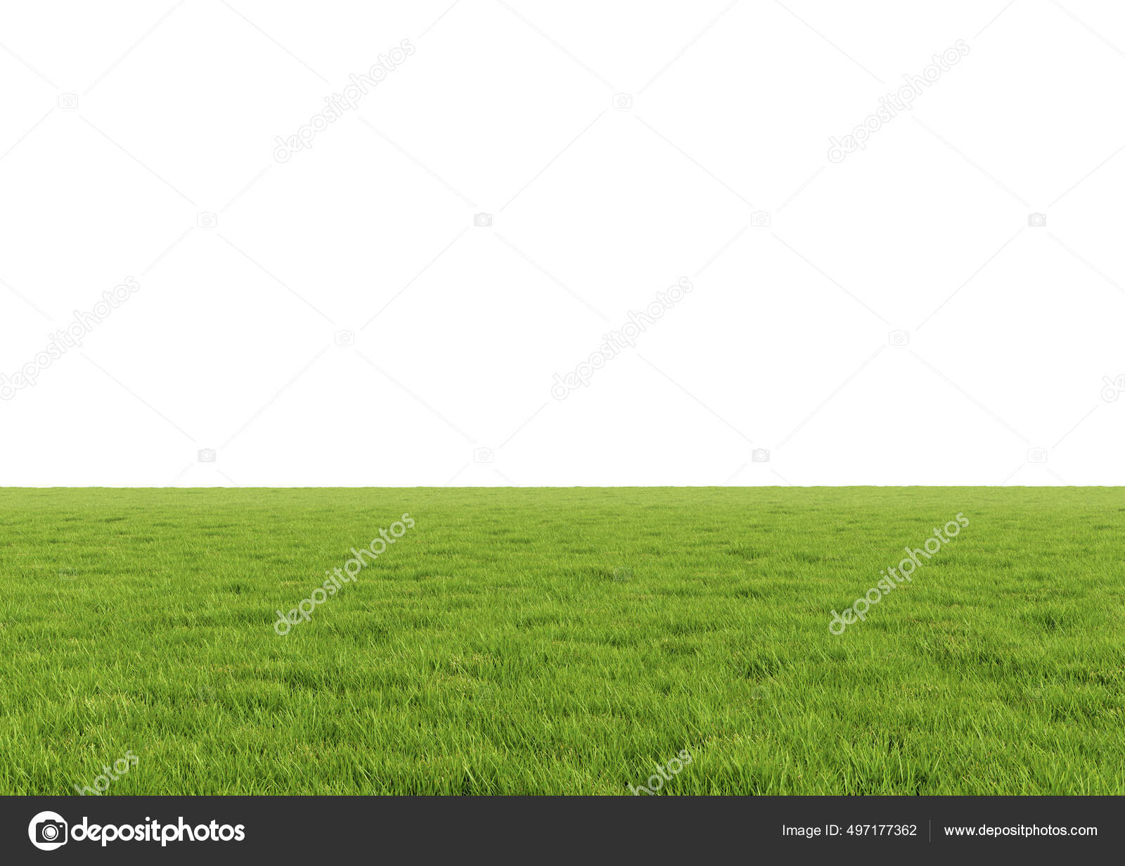 Realistic Empty Green Grass Field Isolated White Background Horizontal ...