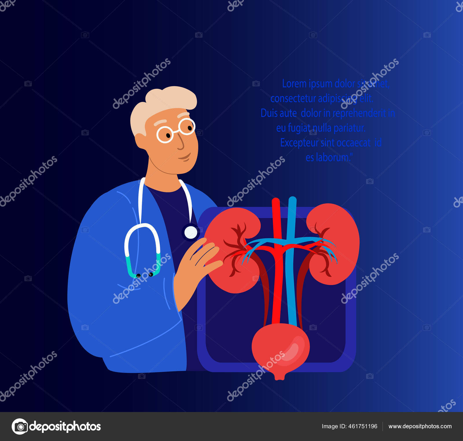 Doctor Nephrologist Scientist Examine Diagnosing Inflamed Kidney Renal ...