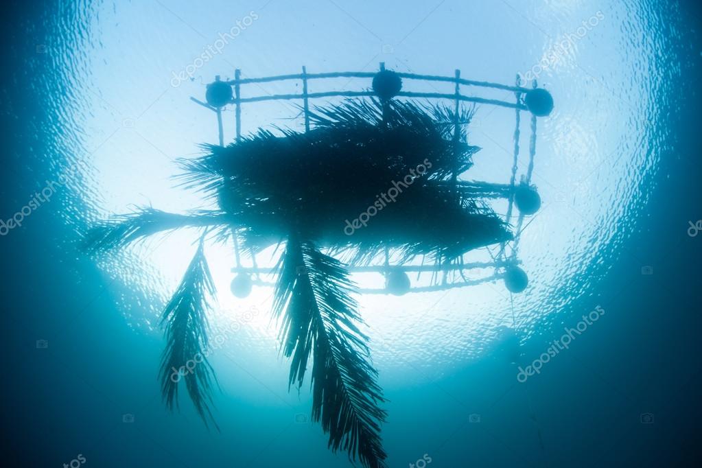 Floating Traditional Fish Attracting Device — Stock Photo © ead72 ...