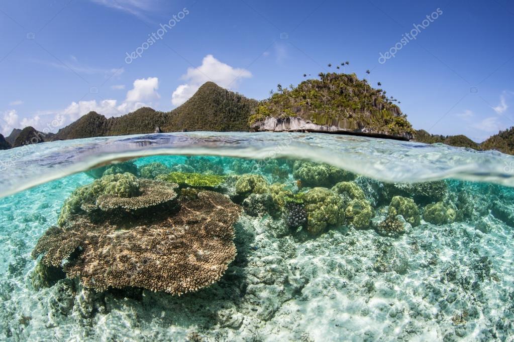 Coral Reef and Limestone Islands in Raja Ampat — Stock Photo © ead72 ...