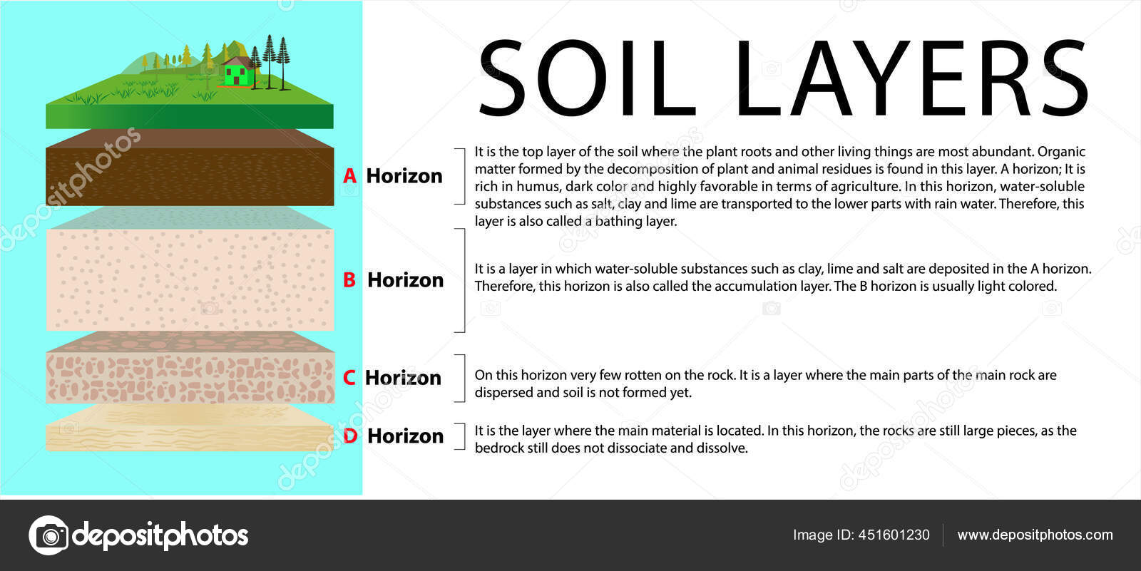 Soil Layers Diagram Soil Horizon Layer Soil Soil Layers Education Stock ...