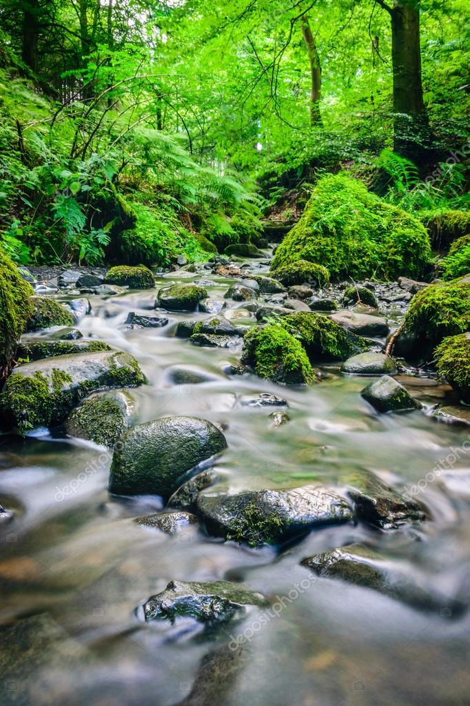 Forest stream running over mossy rocks Stock Photo by ©nuttawutnuy 82585354