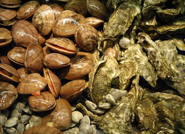 Imágenes de Aquaculture of shellfish, fotos de Aquaculture of shellfish ...