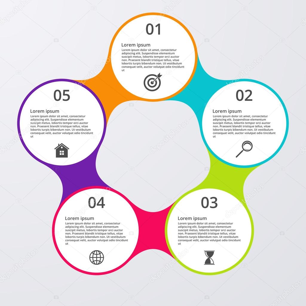 Vector illustration infographic five options — Stock Vector © Amelisk ...