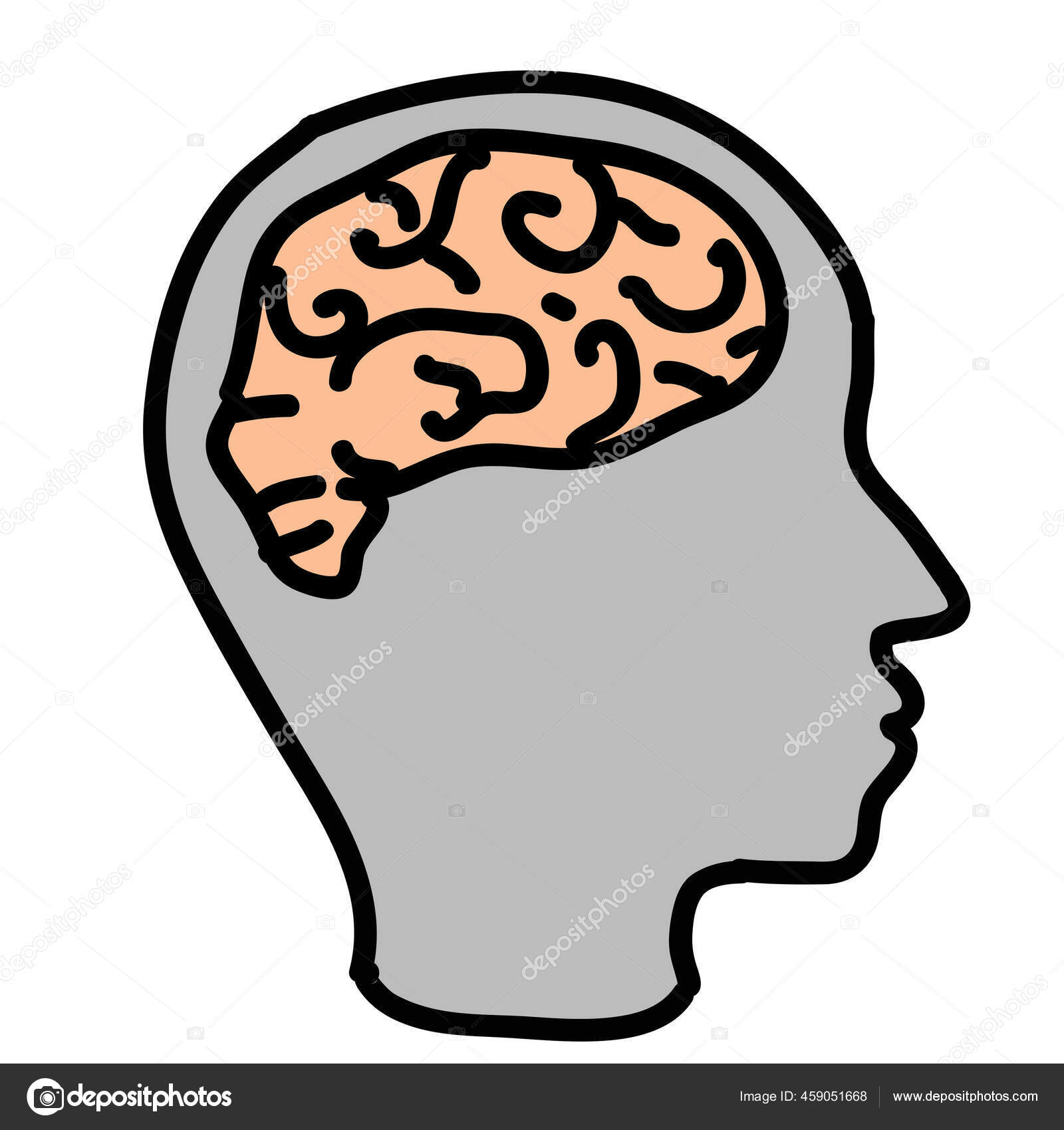 Cartoon Human Brain In Head