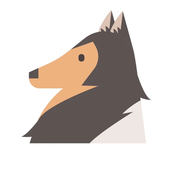 100,000 Shetland sheepdog Vector Images | Depositphotos