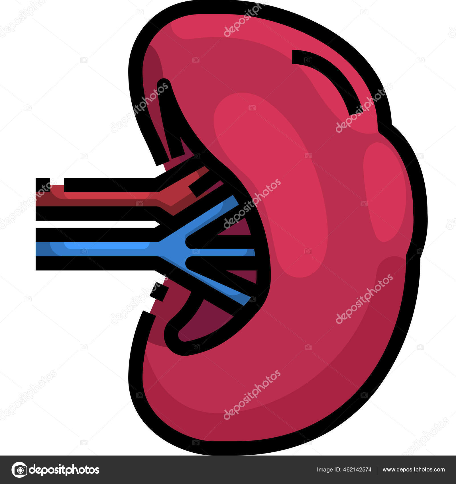 Immune Lymph Lymphatic Icon Stock Vector Image by ©iconfinder #462142574