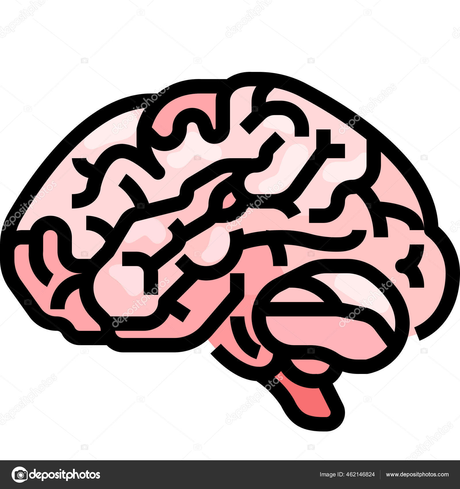 Icono Del Cerebro Vector Icono Del Cerebro Humano. Símbolo De La