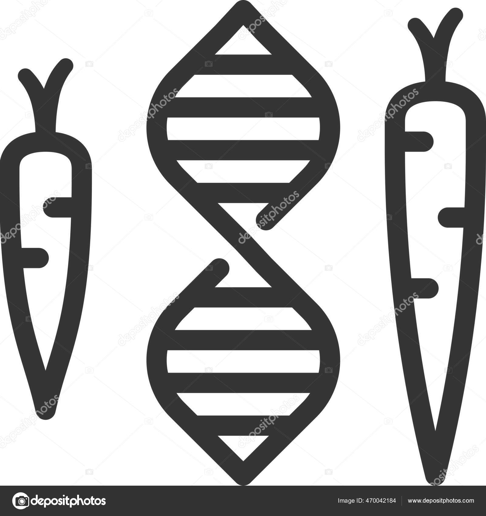 Gene Genetically Modified Organisms Food Icon Stock Vector Image by ...