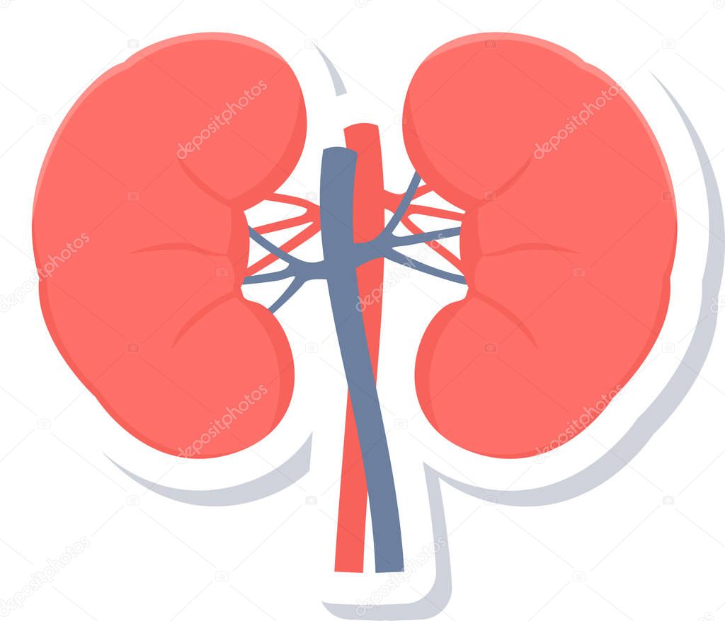 riñones anatomía parte del cuerpo icono en estilo plano 2022