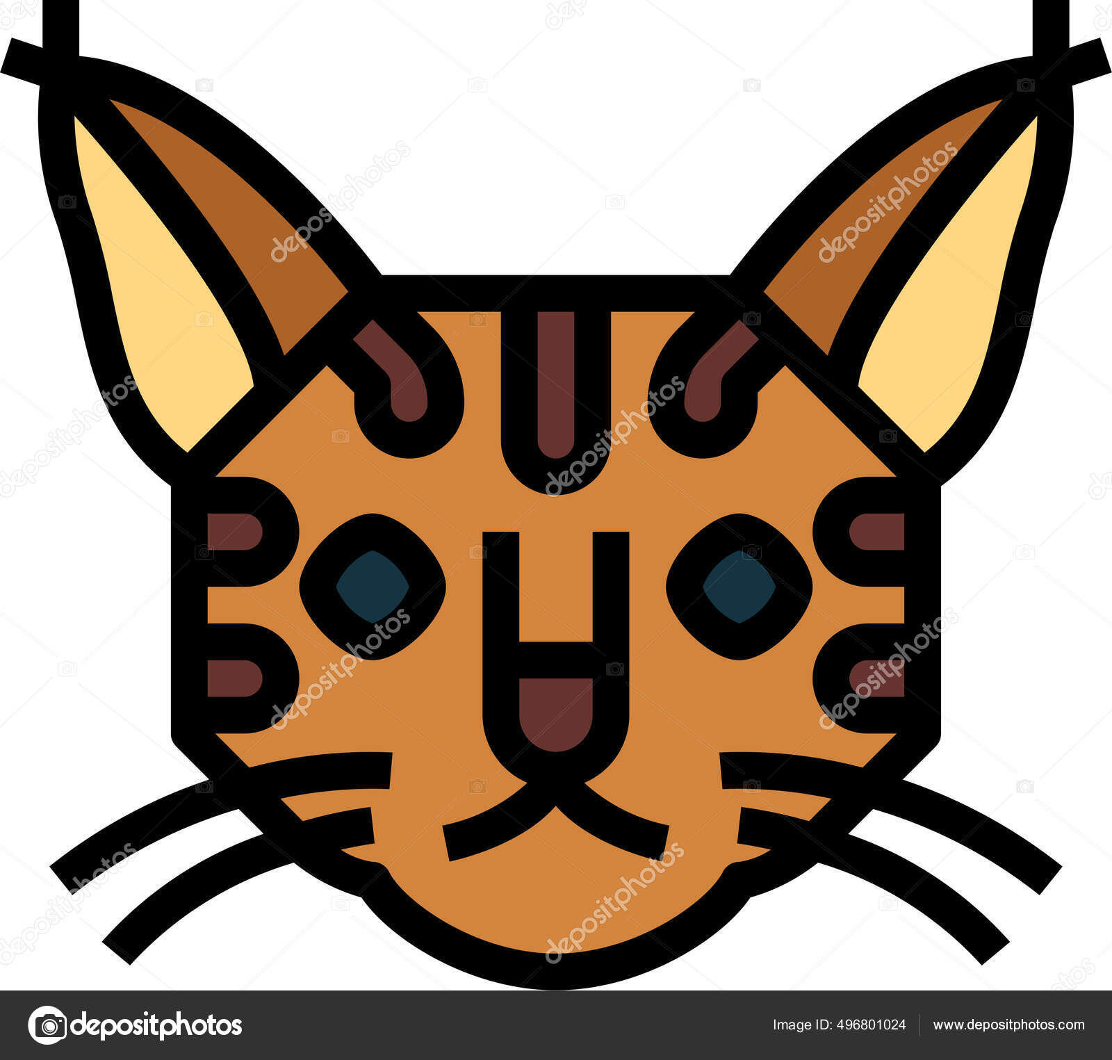 Orange Pixie Bob Kittens