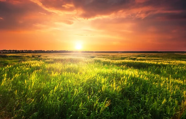 Fairy spring sunrise - Stock Image - Everypixel