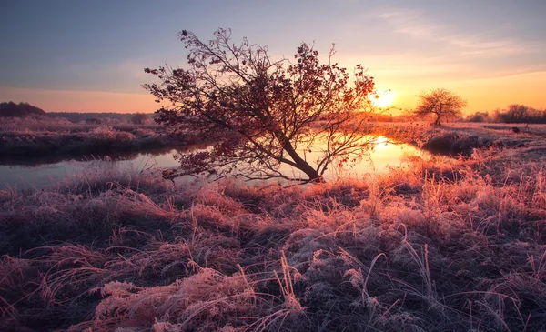 Fall sunrise Stock Photos, Royalty Free Fall sunrise Images | Depositphotos