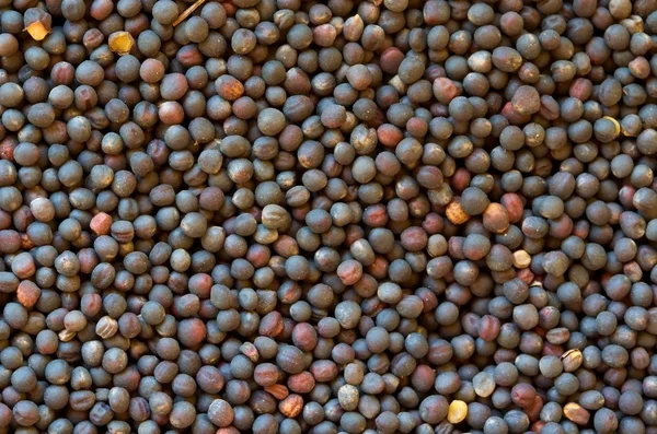 Semillas de colza (semillas de colza). Primer plano. Antecedentes La ...