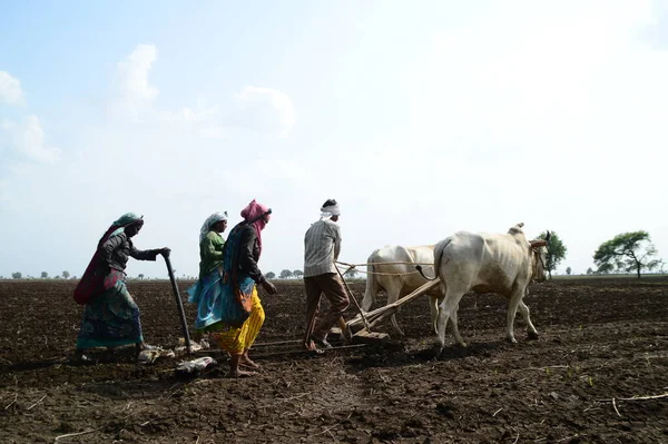 Maharashtra rural women Stock Photos, Royalty Free Maharashtra rural ...