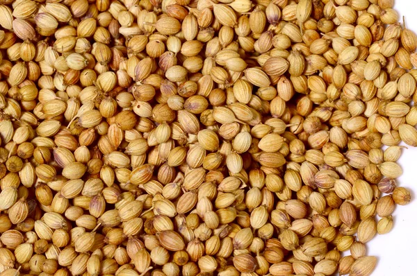 Coriander seeds Stock Photos, Royalty Free Coriander seeds Images | Depositphotos