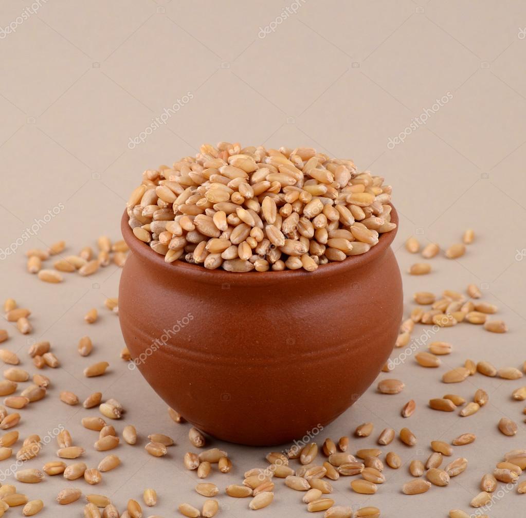 Wheat grains in clay pot — Stock Photo © DipakShelare #72438645