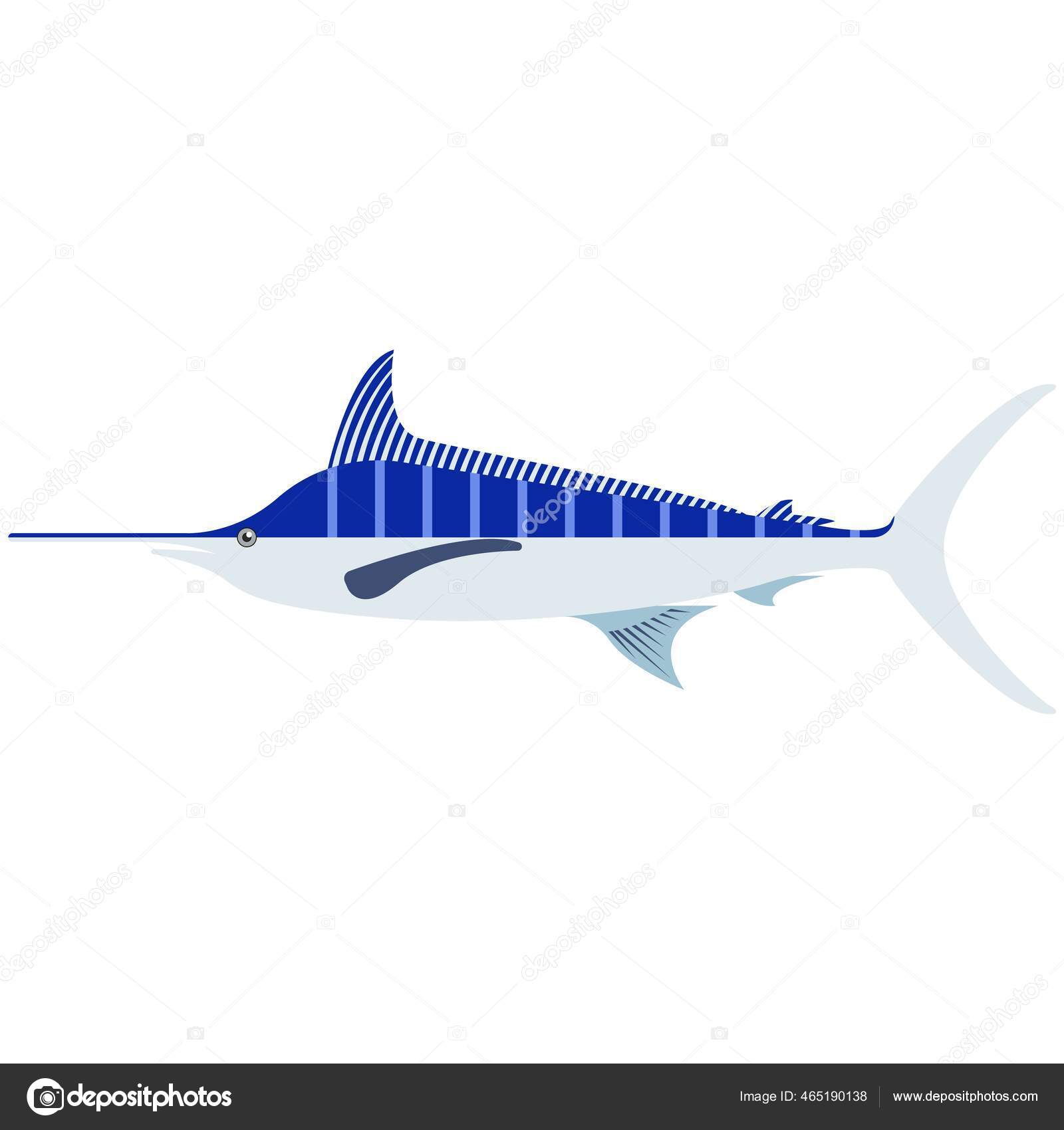 Image vectorielle Illustration vectorielle de poisson à nez pointu ...