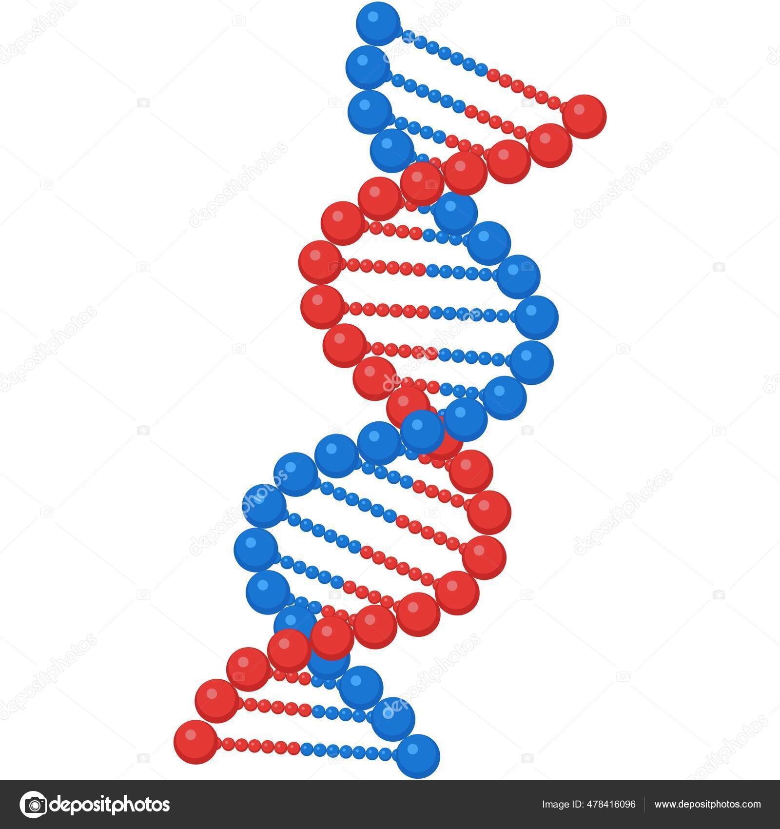 Dna genetic vector, helix gene molecule structure Stock Vector by ...